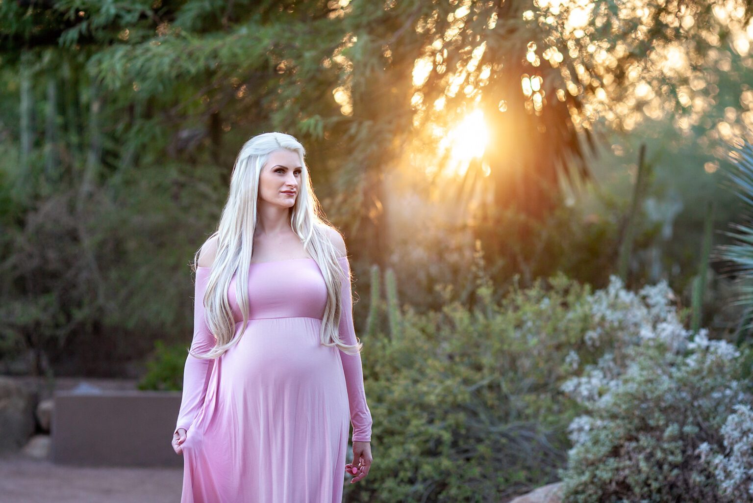 Why Golden Hour is the Best Time for Family Photos in Phoenix - Phoenix ...